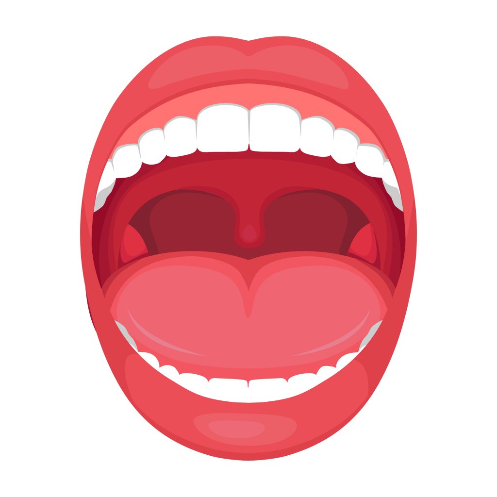 How Can Knowing Parts of Mouth Improve Oral Care | Dr. Jennifer Hoang